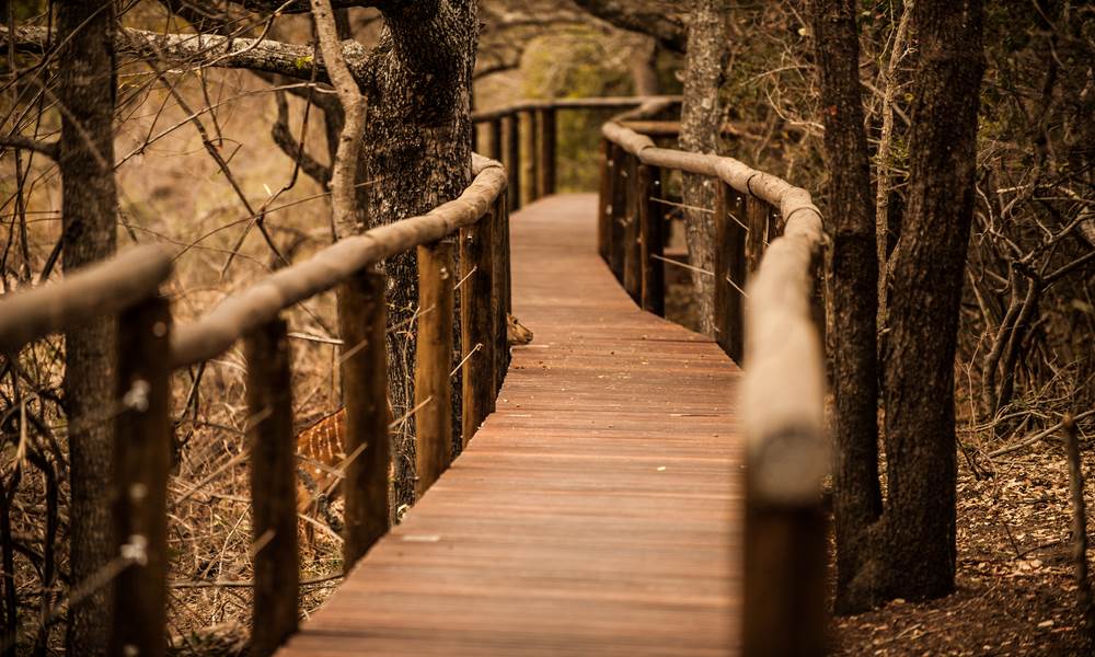 Moditlo River Lodge