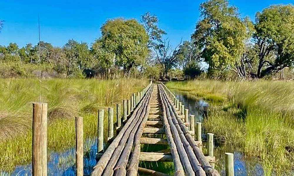 North Island Okavango | Botswana Safari