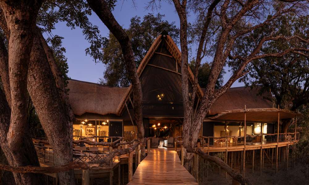 Tubu Tree Camp | Safari in Botswana