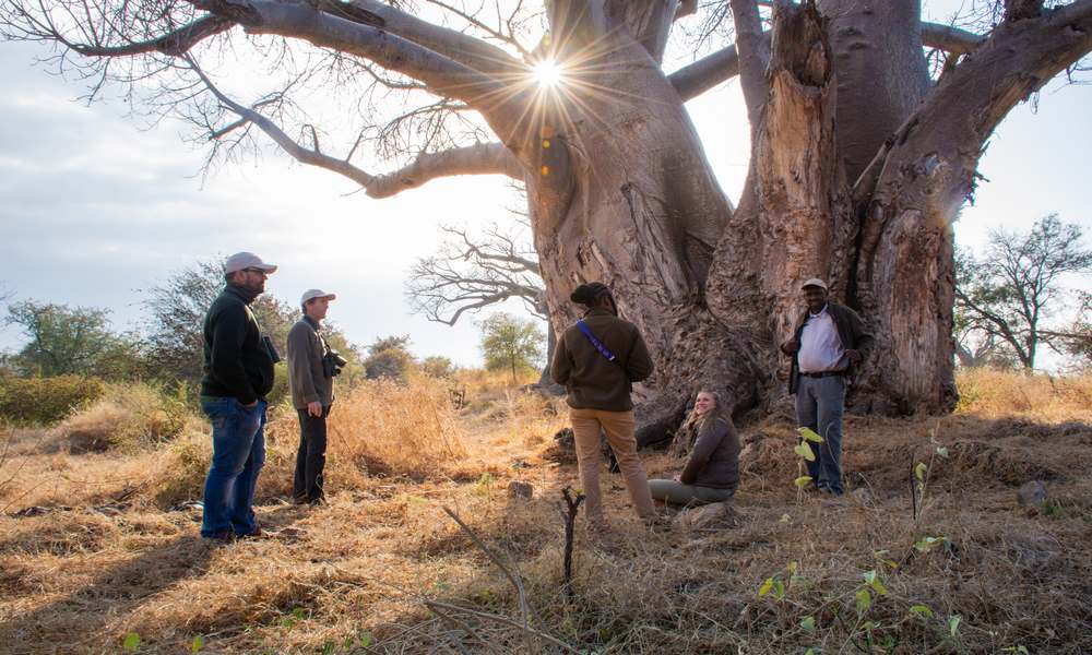 Pafuri Camp | South African Holidays