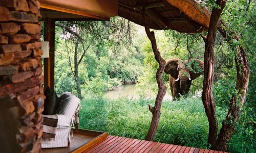 Makanyane Safari Lodge | South African Holidays